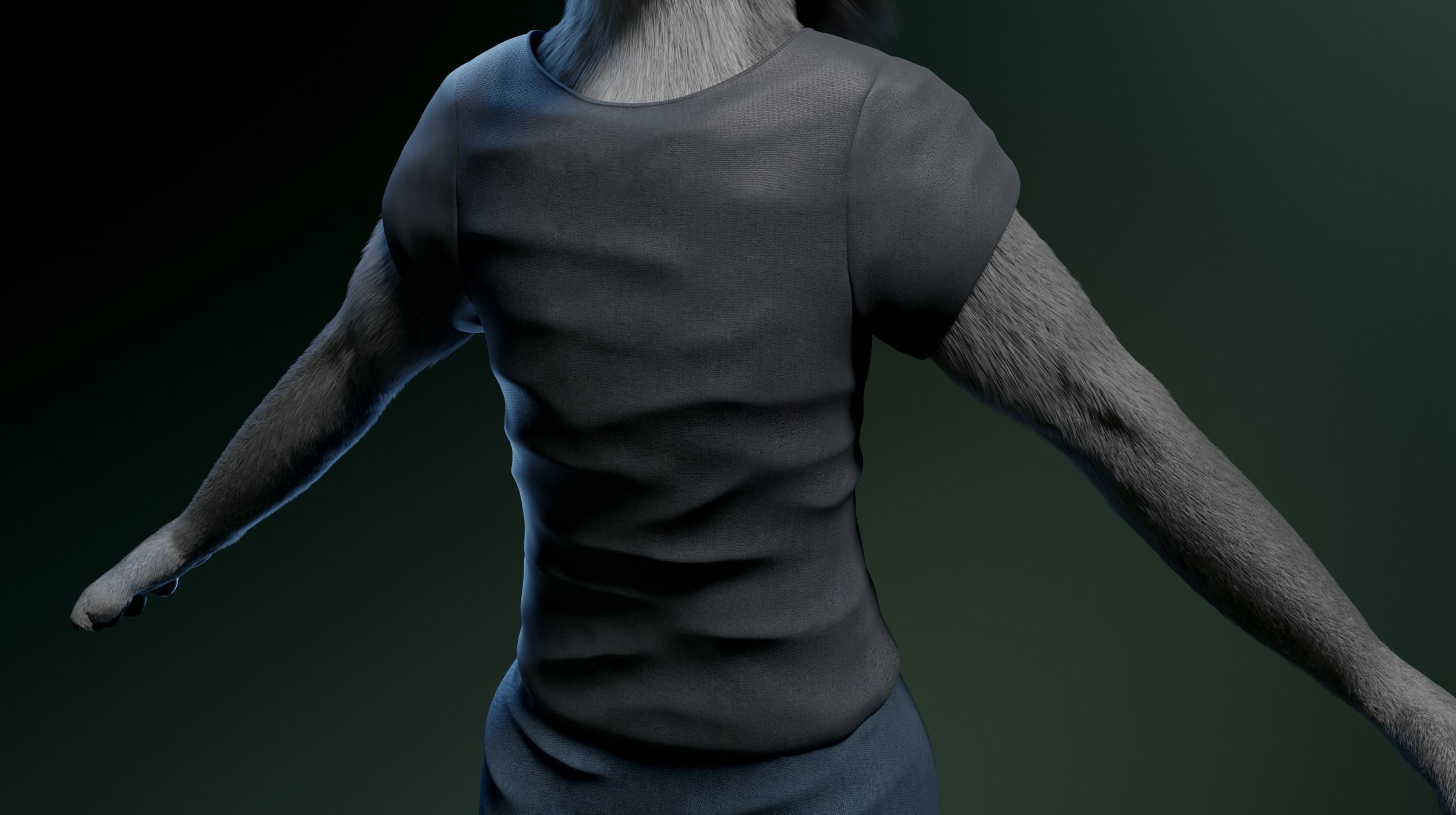 Helena Anthro Wolf 3D model rigged | CGTrader