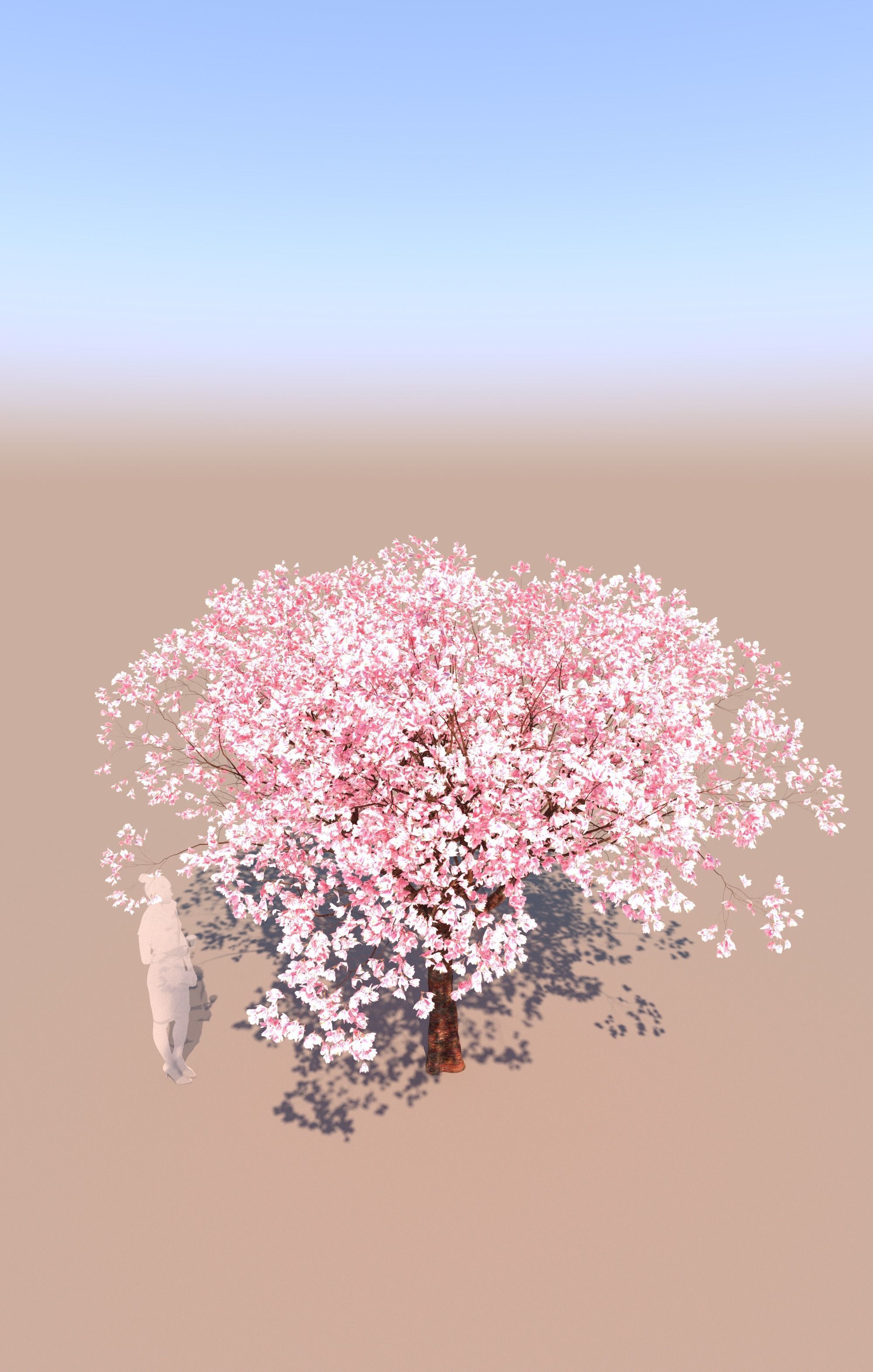 Flowering cherry tree prunus avium D 3D model | CGTrader