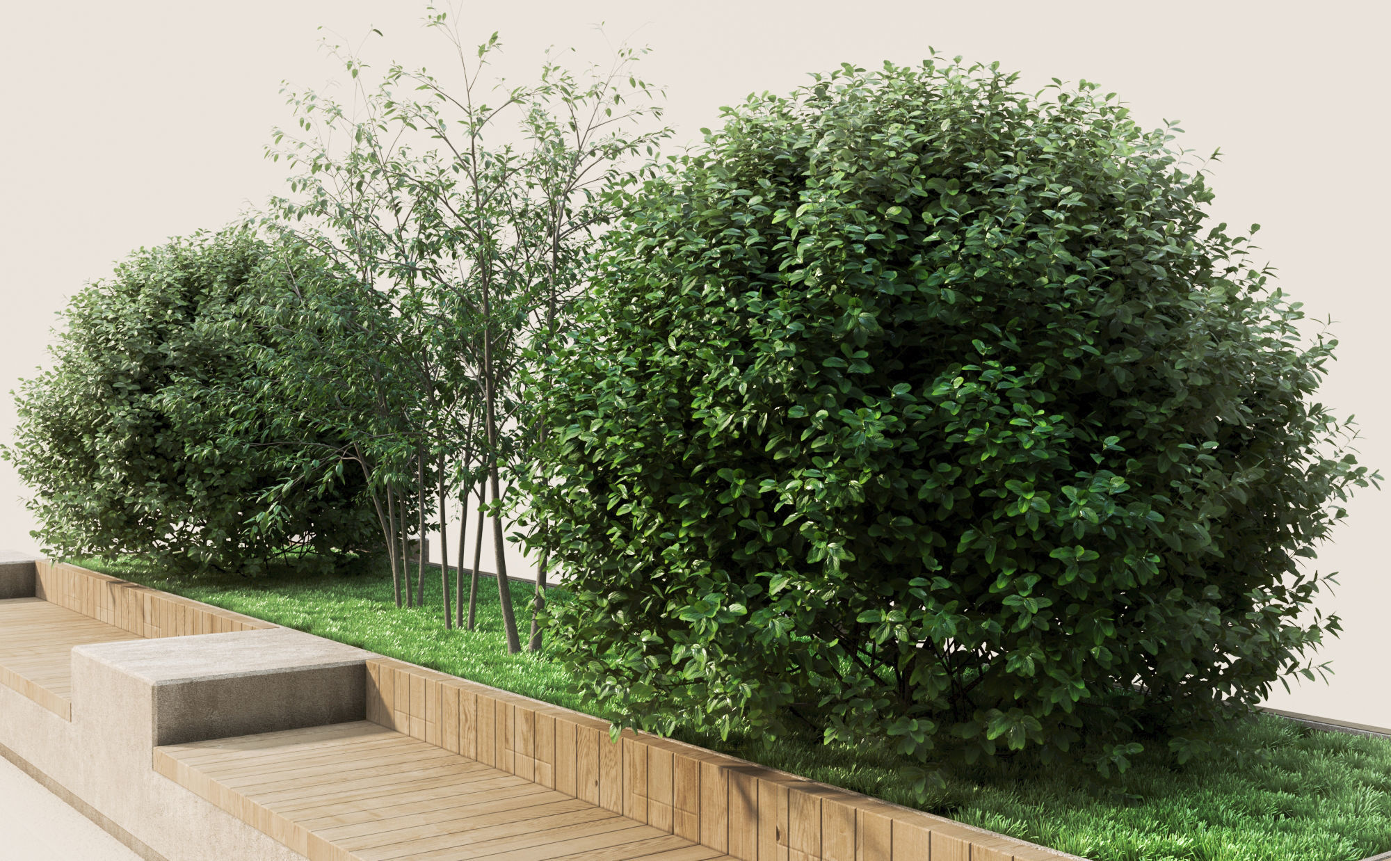 quickset hedge 3D model | CGTrader