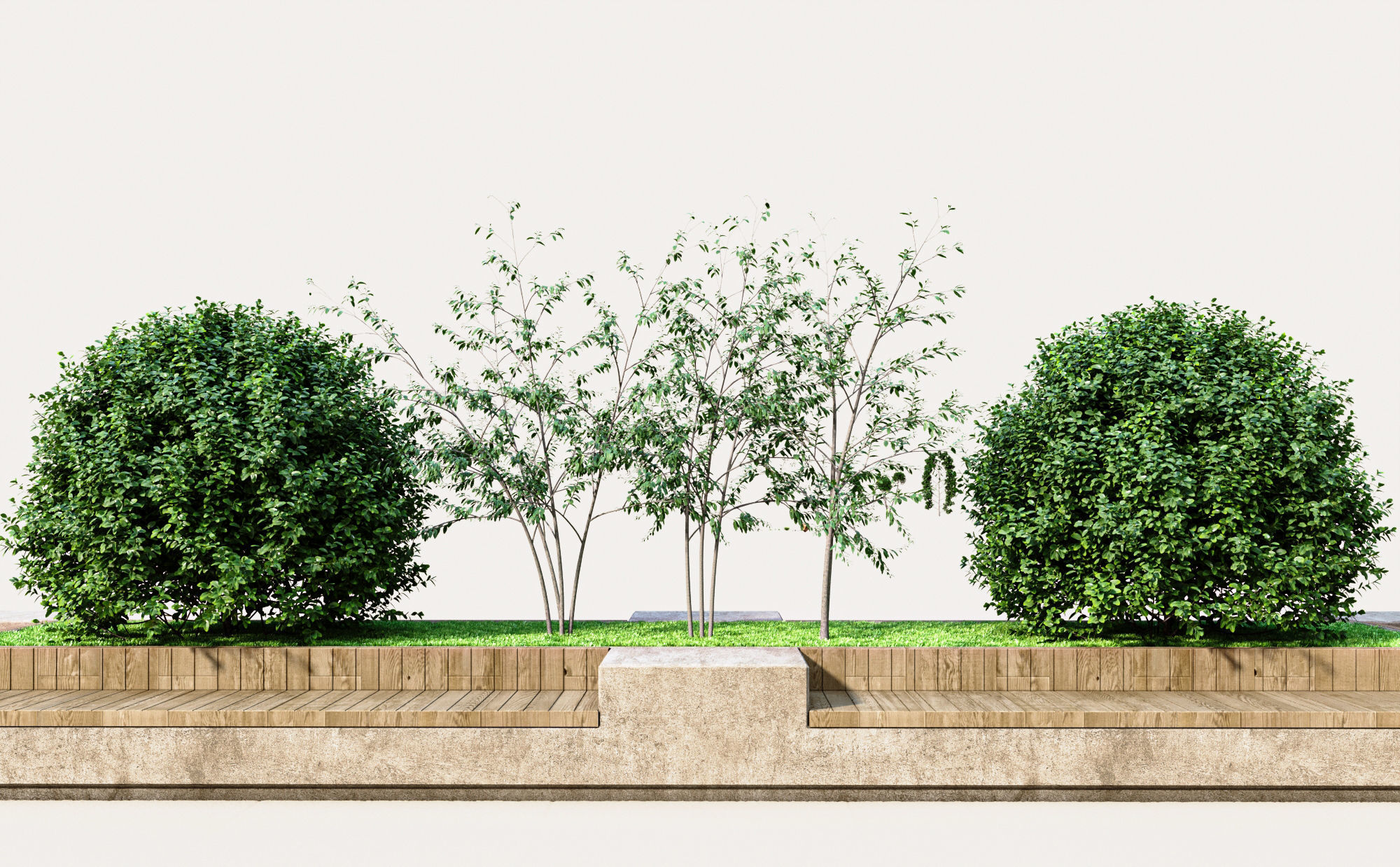 quickset hedge 3D model | CGTrader