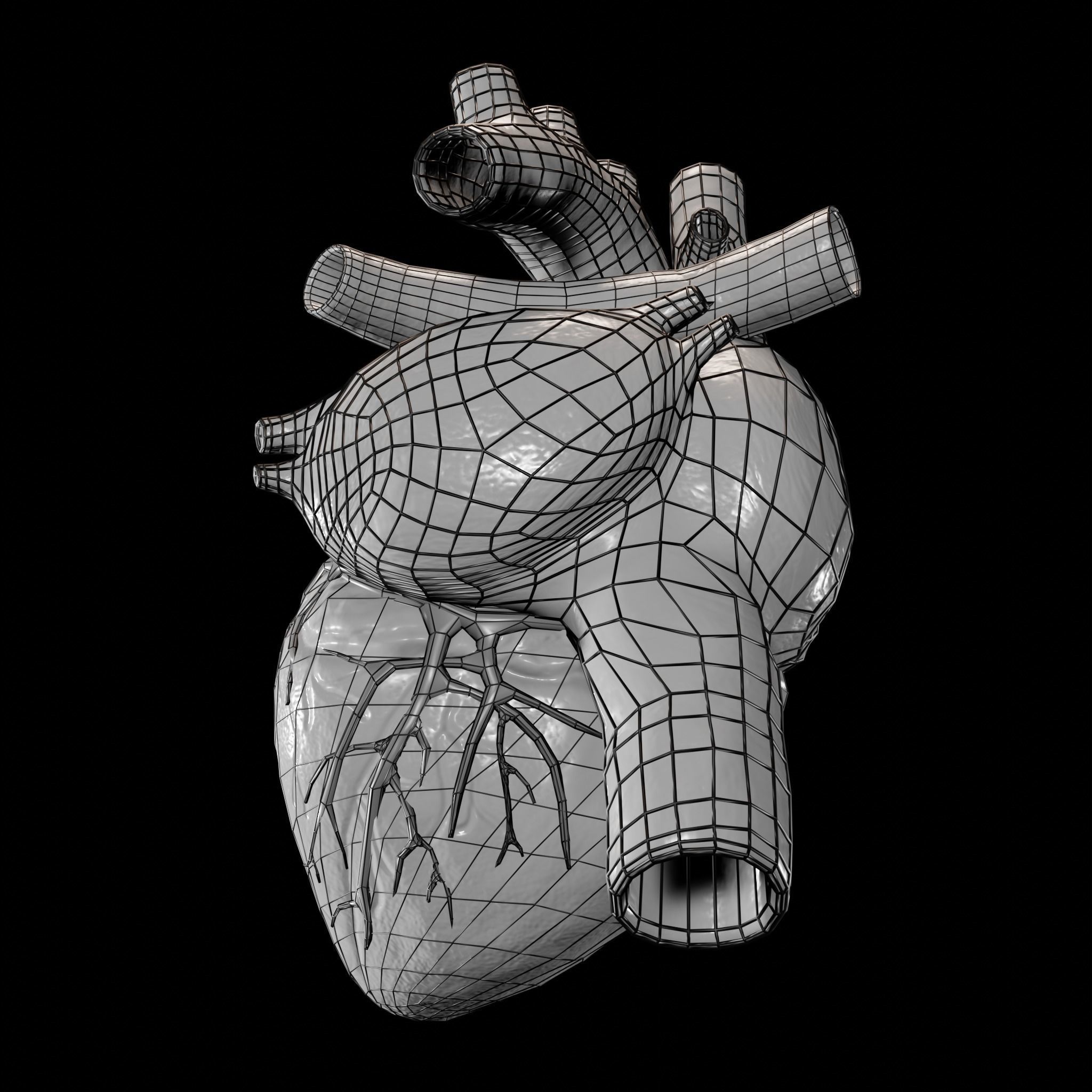 3D model Animated human heart VR / AR / low-poly | CGTrader
