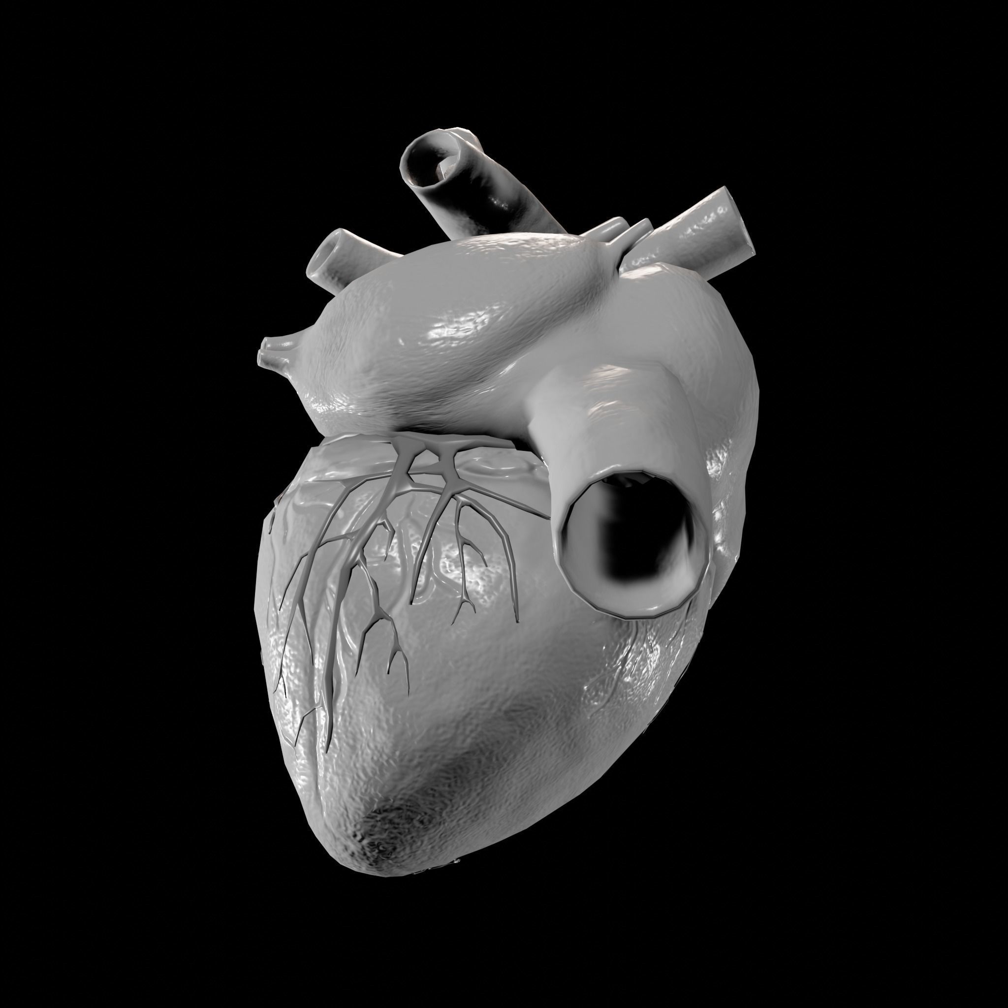 3D model Animated human heart VR / AR / low-poly | CGTrader