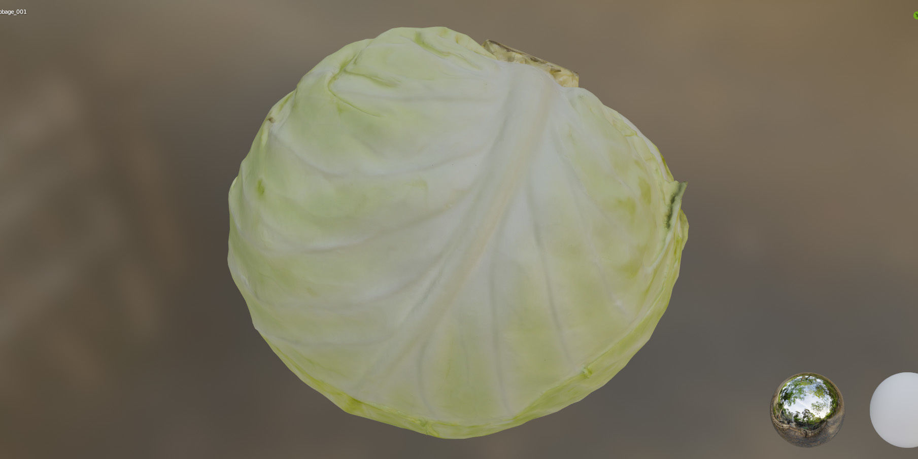 4k White cabbage 3D model | CGTrader