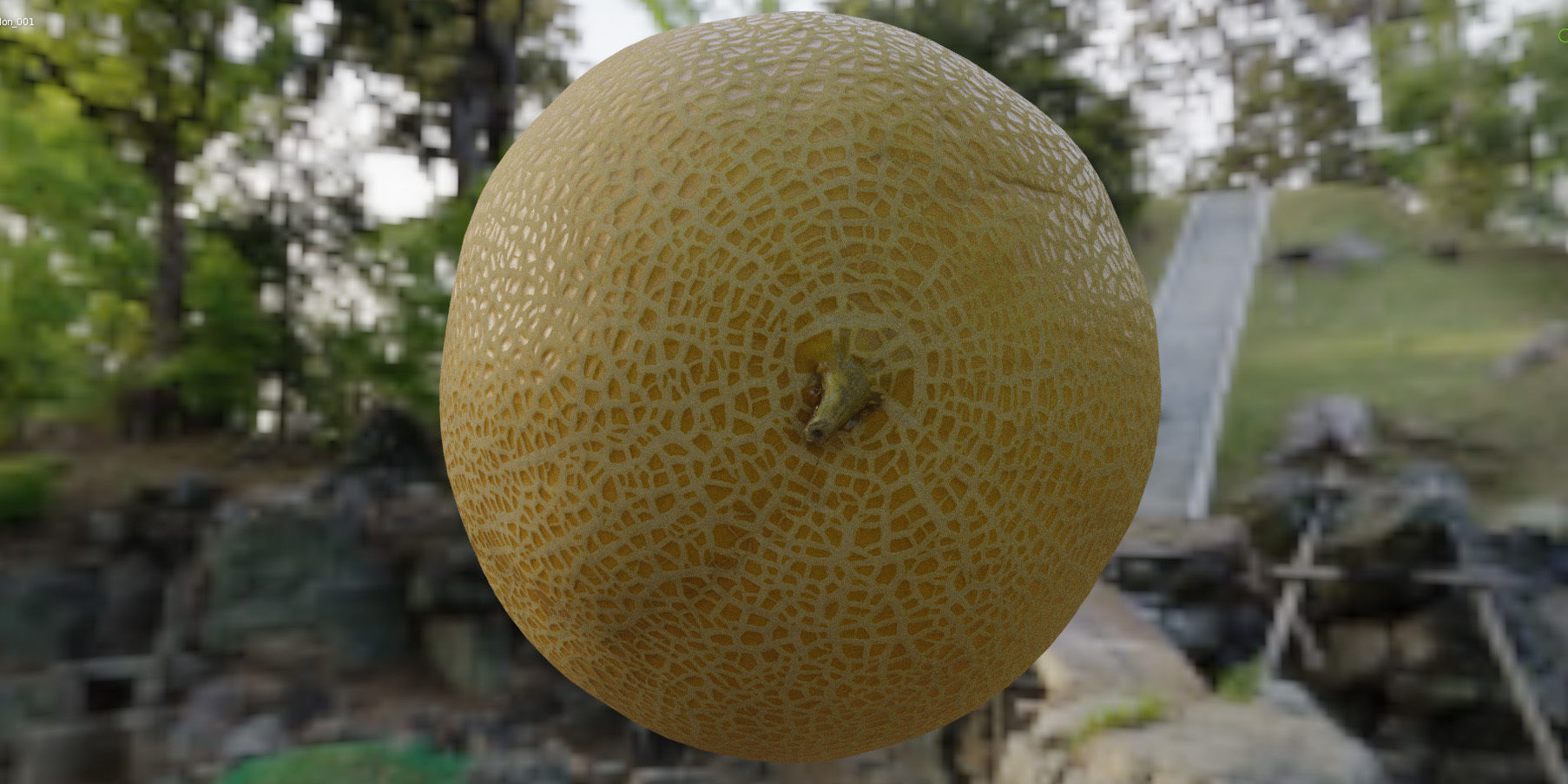 4k Melon 3D model | CGTrader