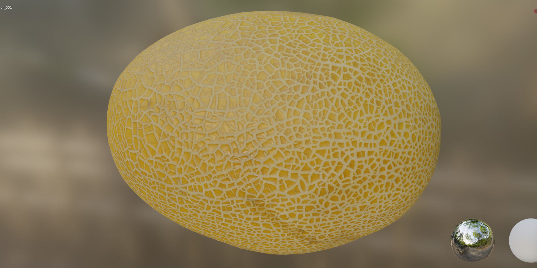 4k Melon 3D model | CGTrader