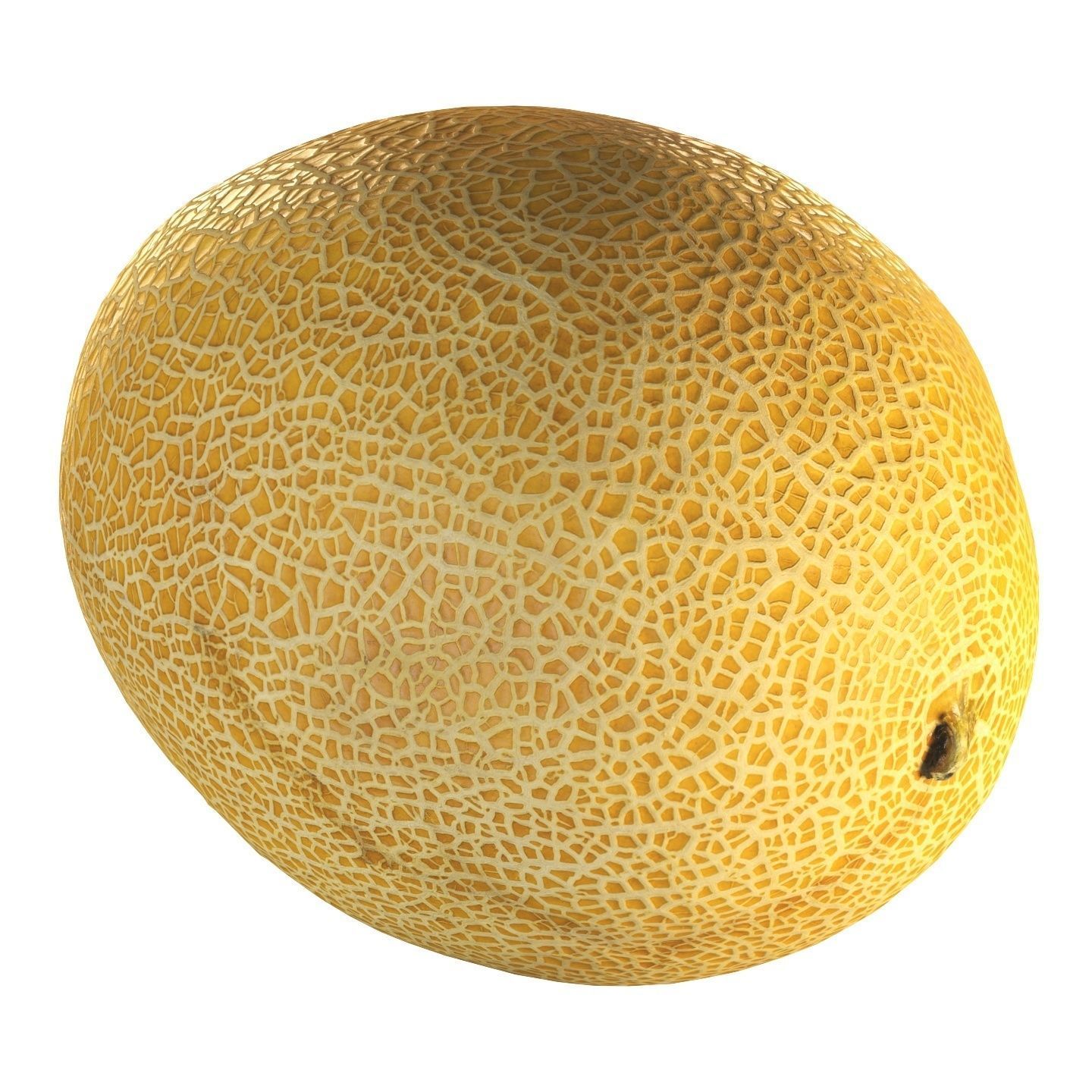 4k Melon 3D model | CGTrader