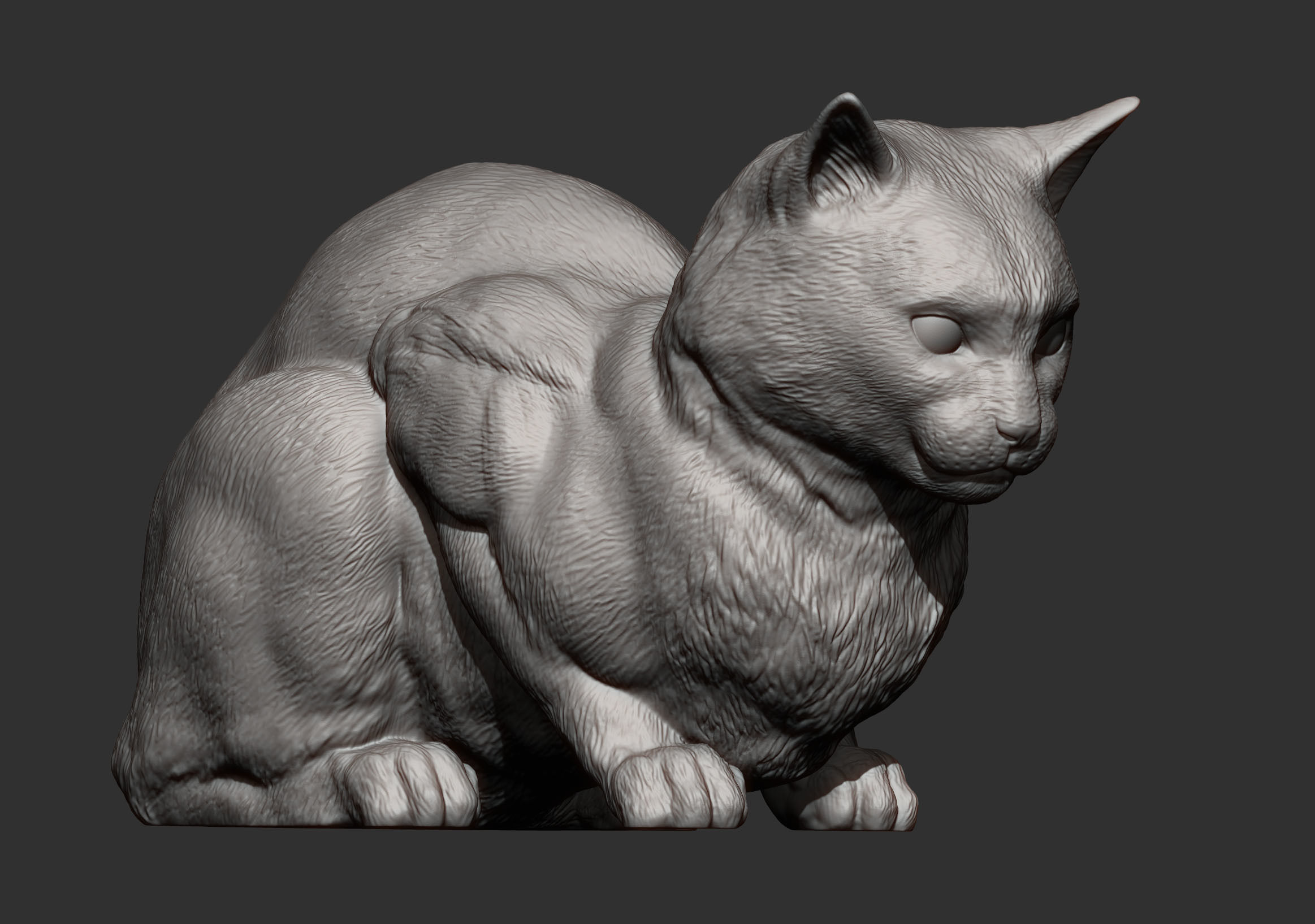 Cat for 3d printing 3D print model 3D model 3D printable | CGTrader