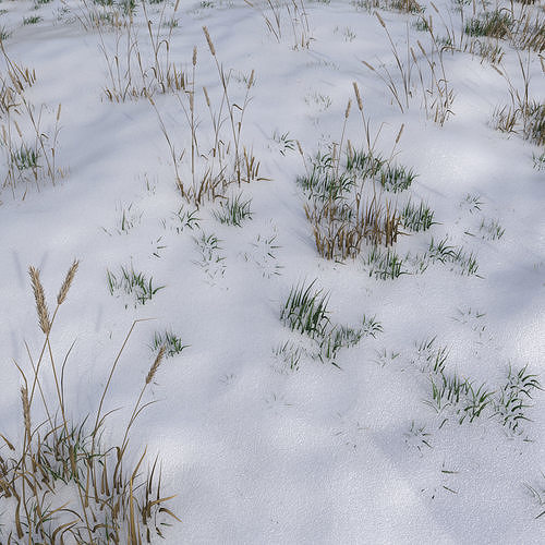 Snowgrass 3D model | CGTrader