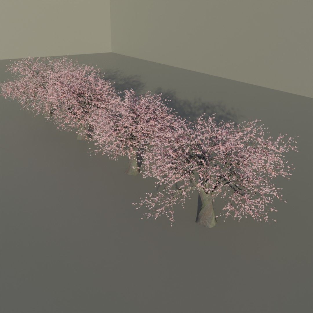 3D model Mid-poly Sakura pack 4 trees VR / AR / low-poly | CGTrader