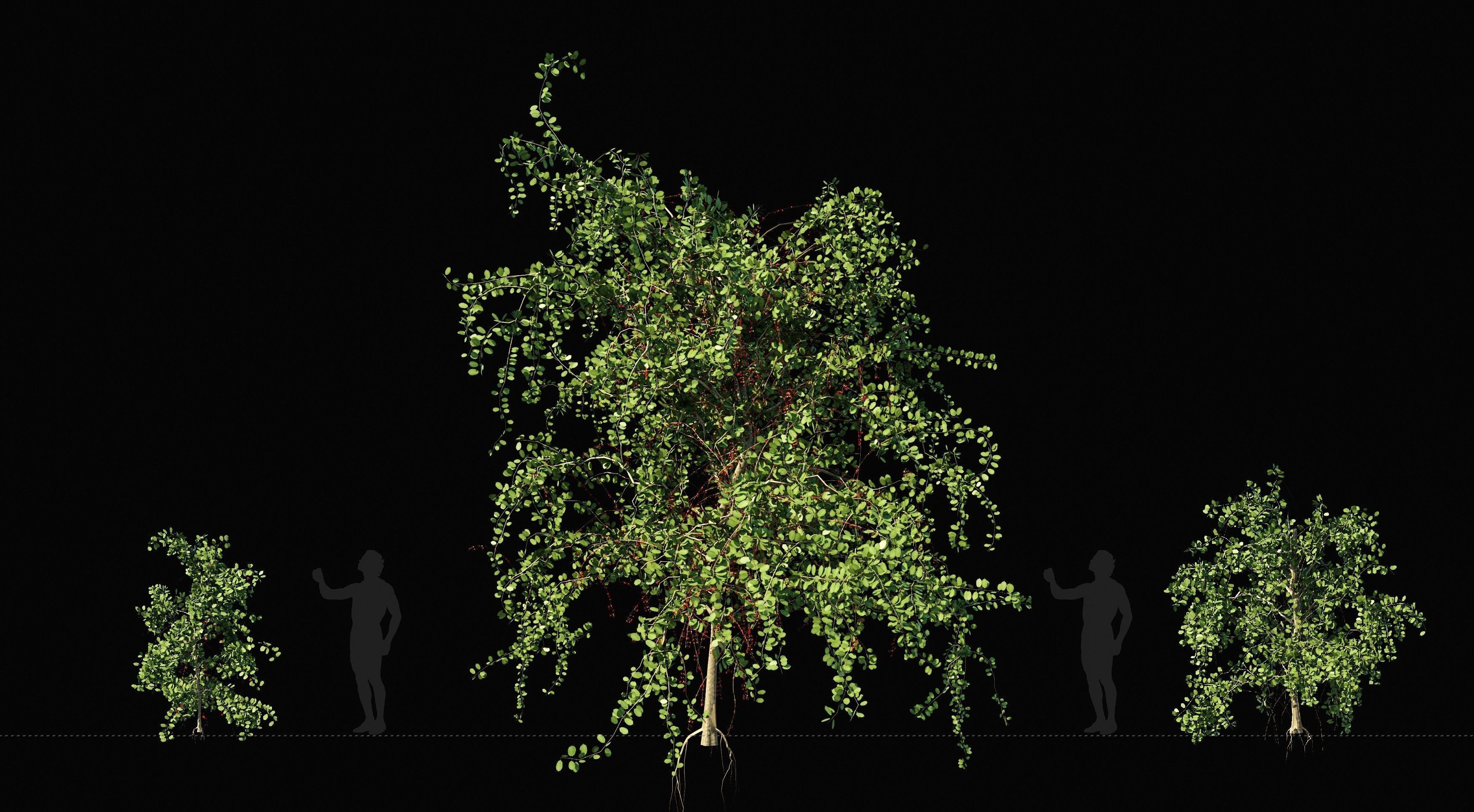 3D model Cherry Tree Set VR / AR / low-poly | CGTrader