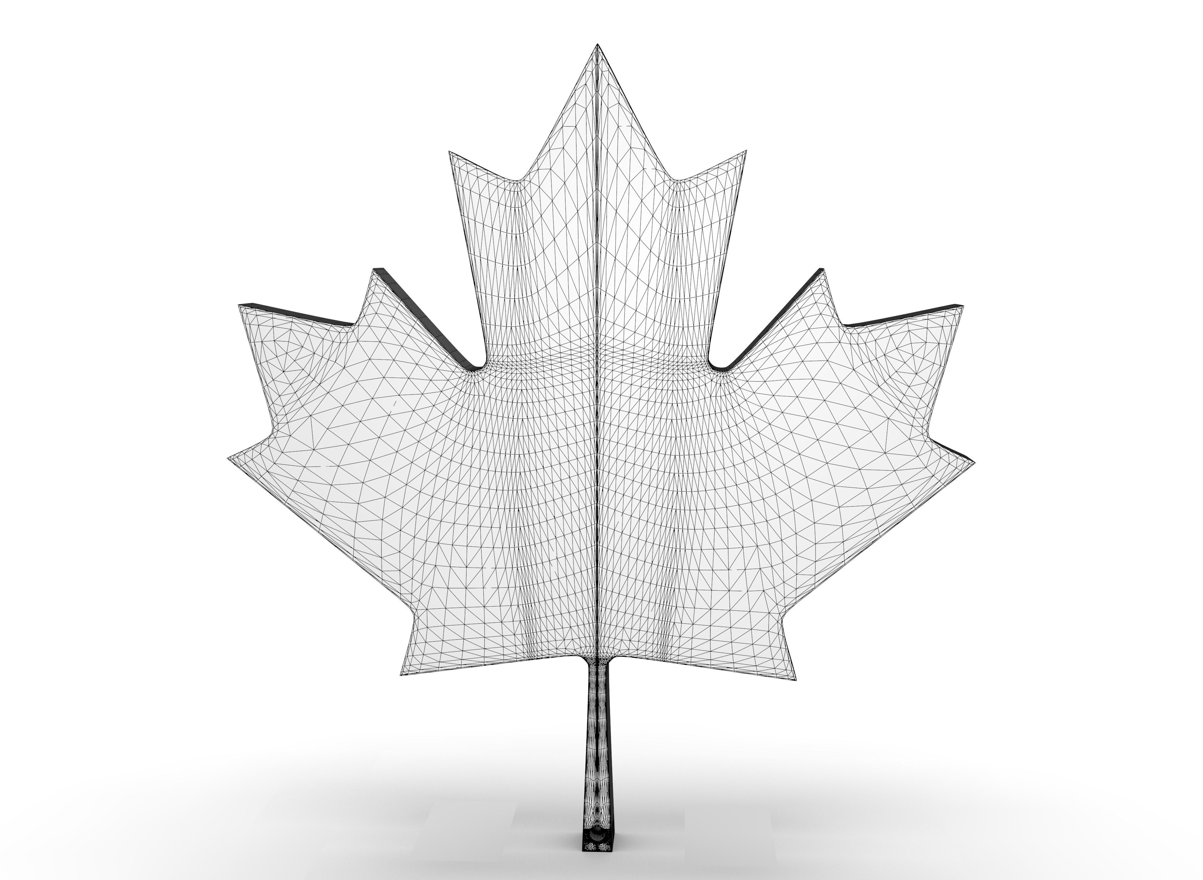 Canadian maple leaf 3D model | CGTrader