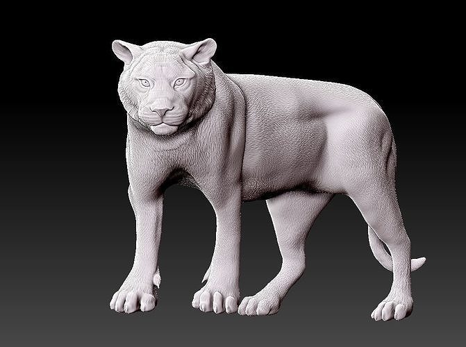 Tiger sculpture 3D print model 3D model 3D printable | CGTrader