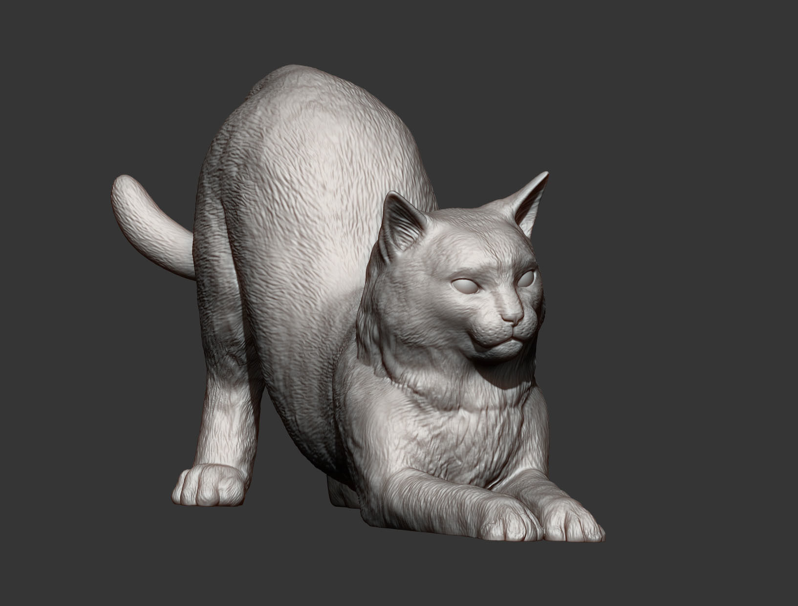 Cat for 3d printing 3D model 3D printable | CGTrader