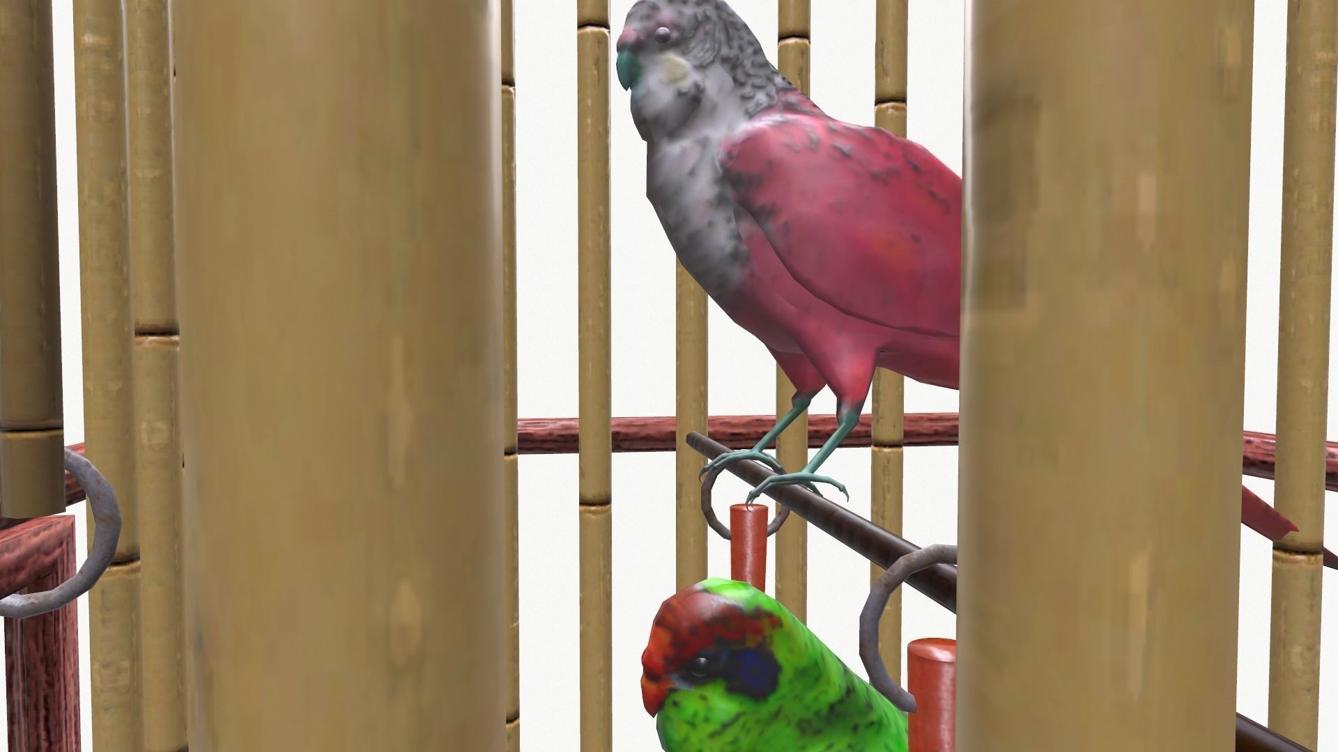 3D model Parakeets in cage VR / AR / low-poly | CGTrader