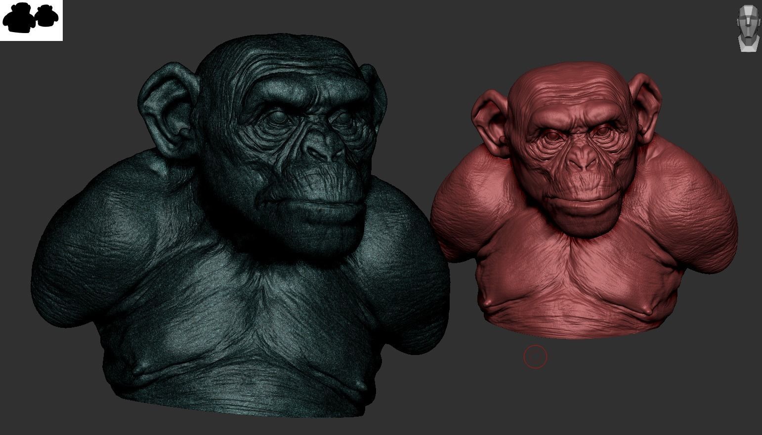 Monkey Bust 3D model 3D printable | CGTrader