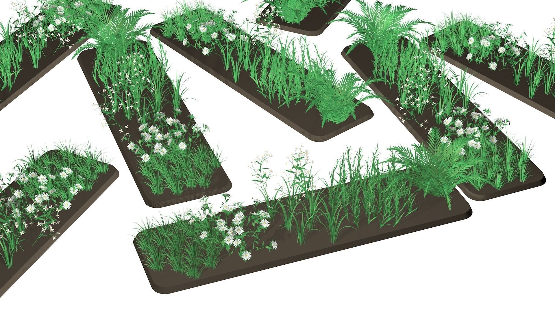 Herbage Various Set 6 piece 3D model | CGTrader