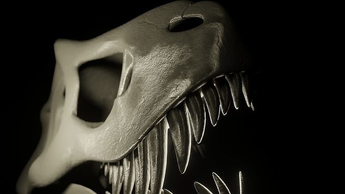 Dino Skull 3D model | CGTrader
