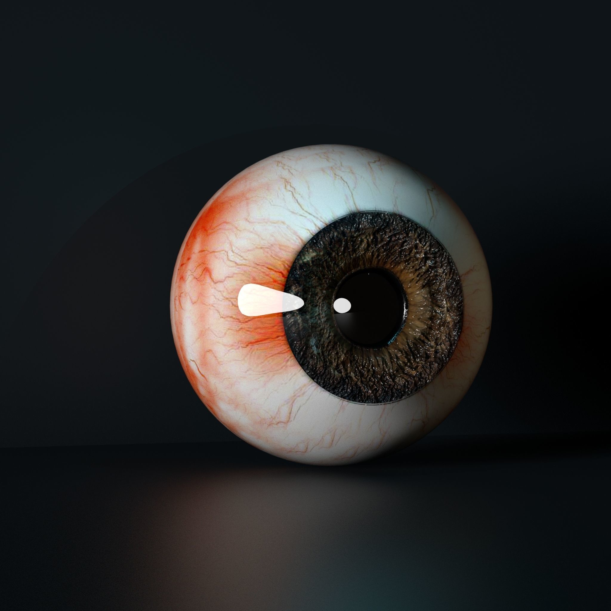 3D model Realistic Human Eye VR / AR / low-poly | CGTrader