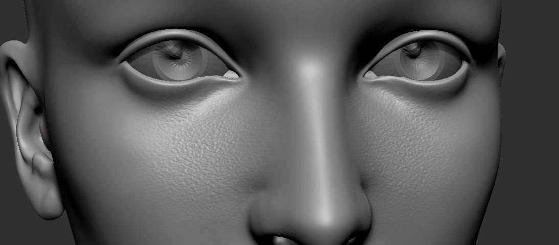 Skin Brushes for Zbrush 3D model | CGTrader