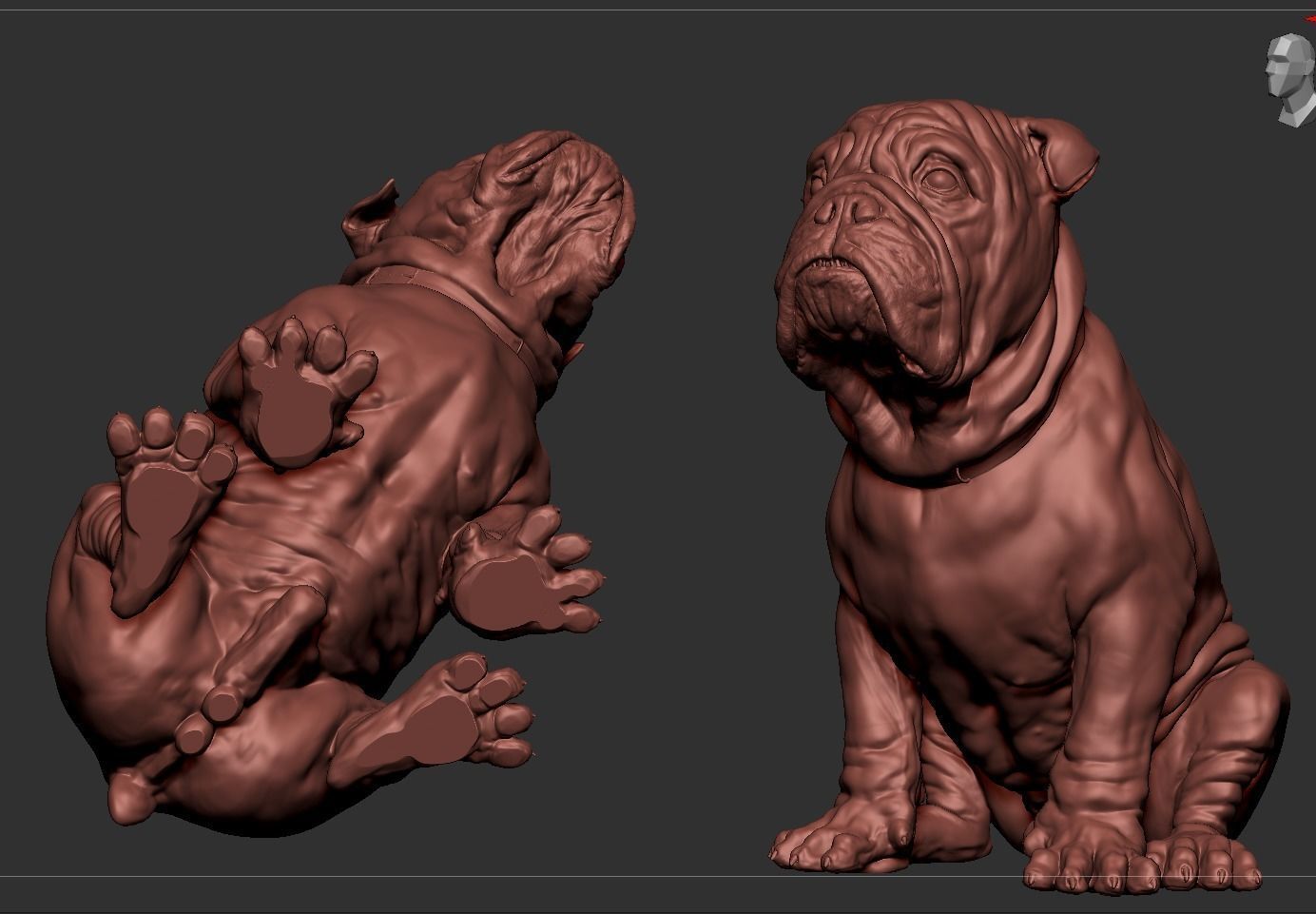 Bulldog 3D model 3D printable | CGTrader