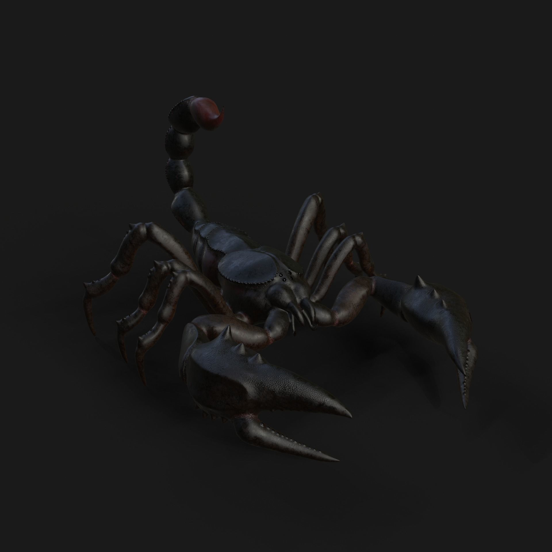 Scorpion Animation and Texture Pack 3D model animated rigged | CGTrader