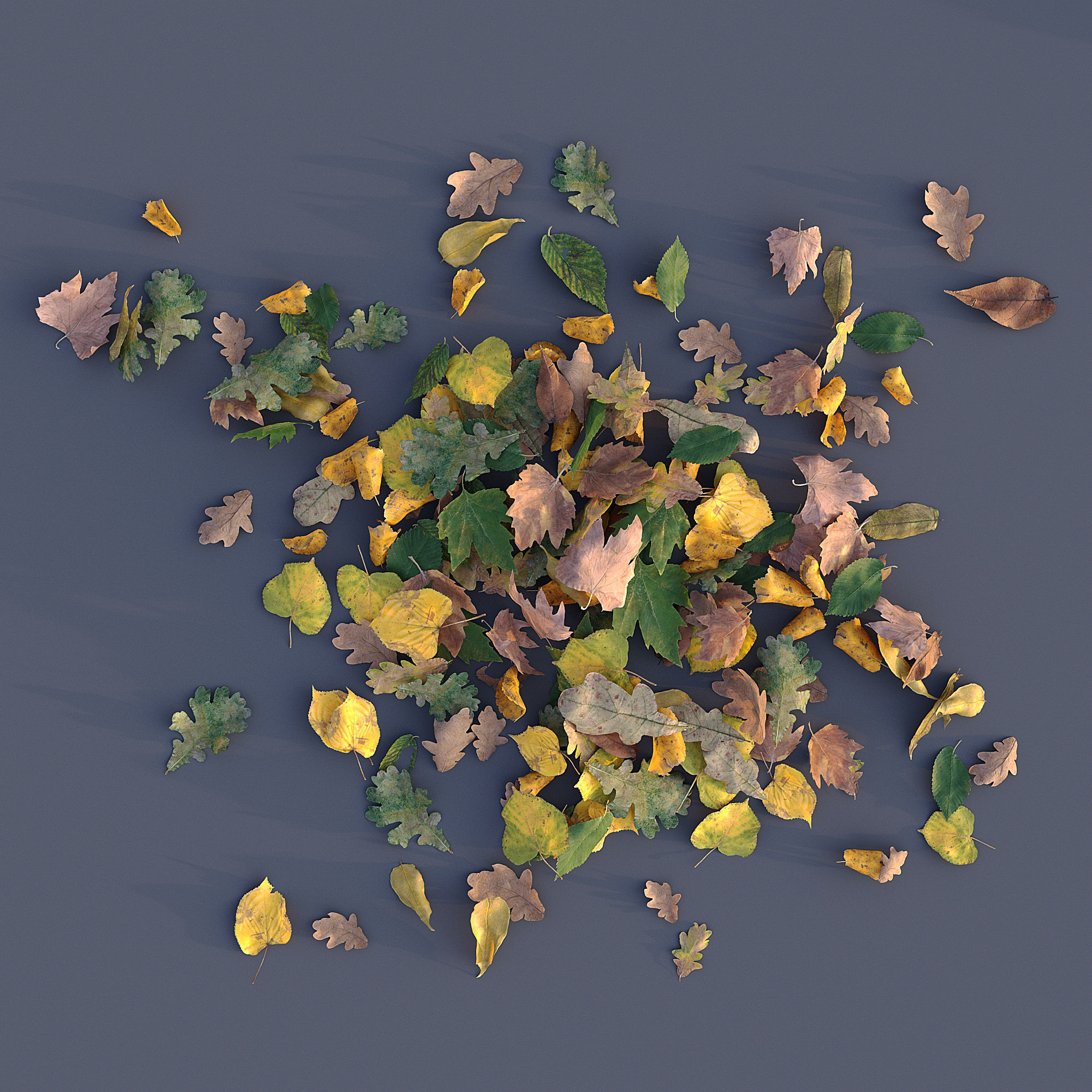 Autumn Leaves 3D model | CGTrader