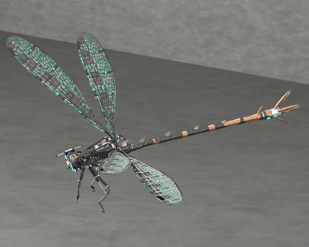 Dragonfly model with long legs 3D model | CGTrader