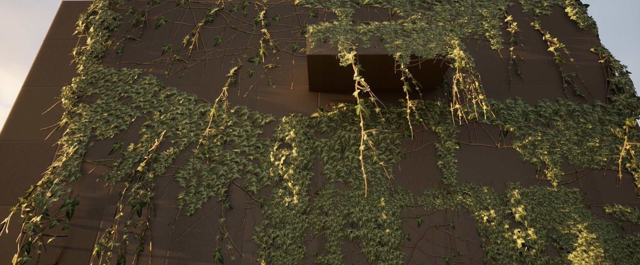 3D model Optimized Ivy Pack VR / AR / low-poly | CGTrader