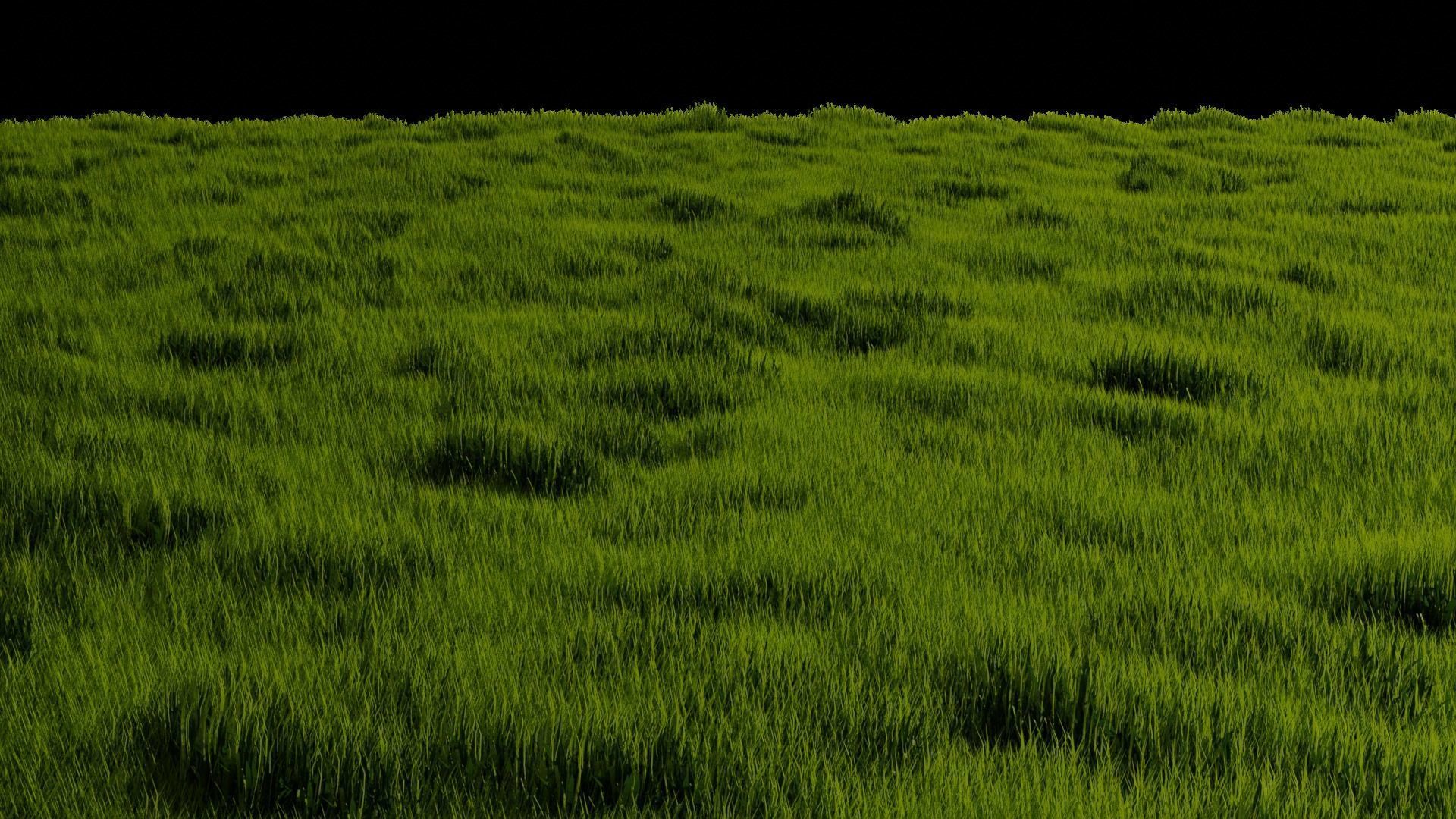 Blender High Poly Realistic Grass Design 3D model | CGTrader