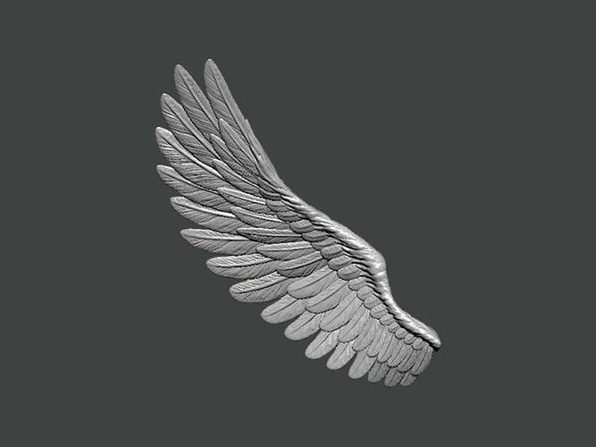 3D Model-WING0008 3D model 3D printable | CGTrader