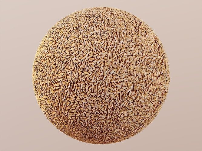 Oat Groats PBR Texture Texture | CGTrader