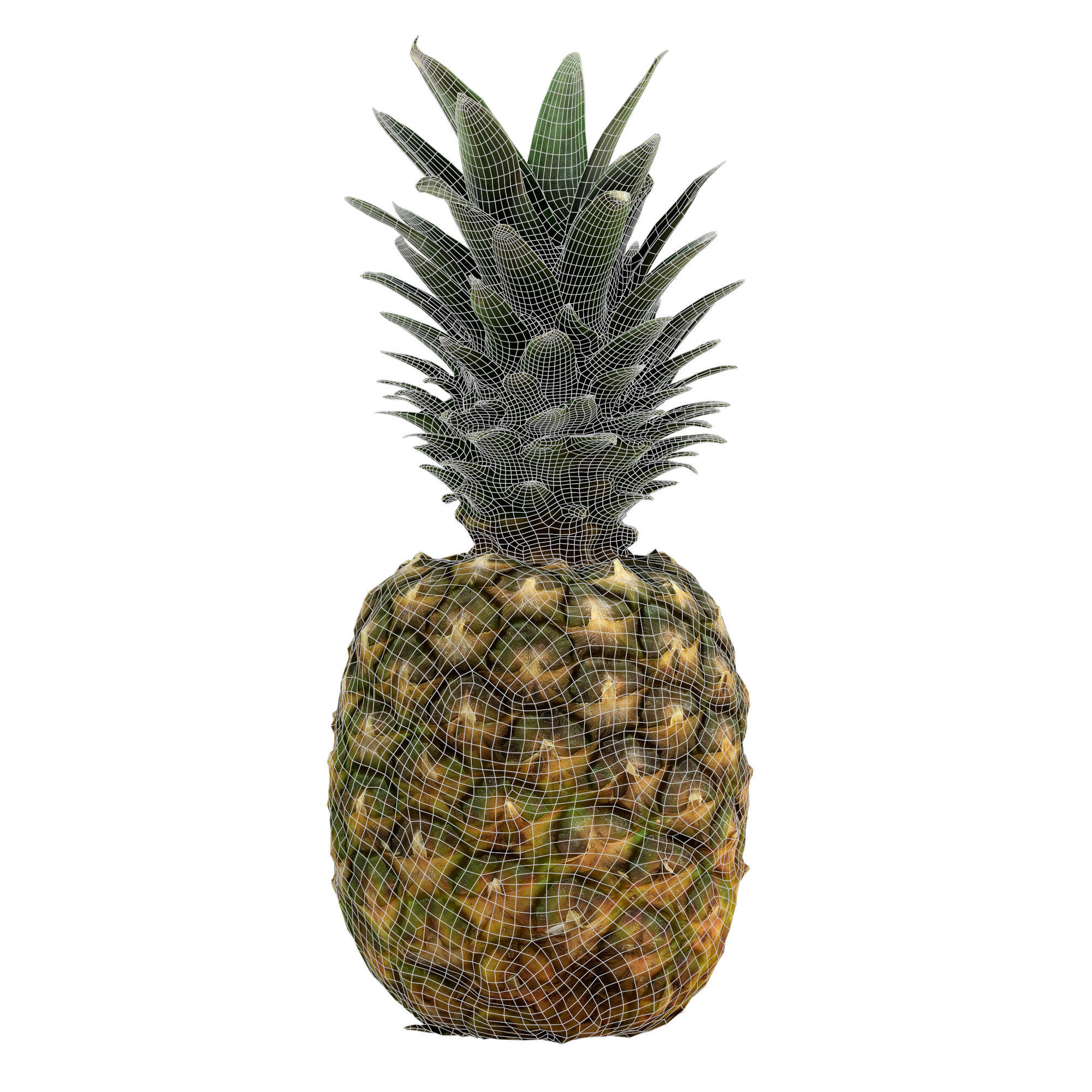 3D model Pineapple PBR VR / AR / low-poly | CGTrader