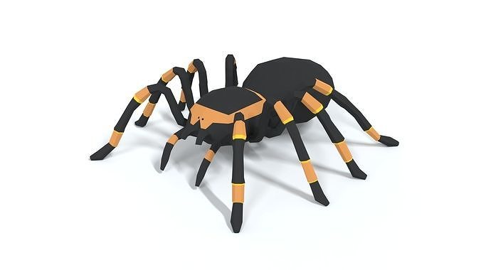 Tarantula Cartoon