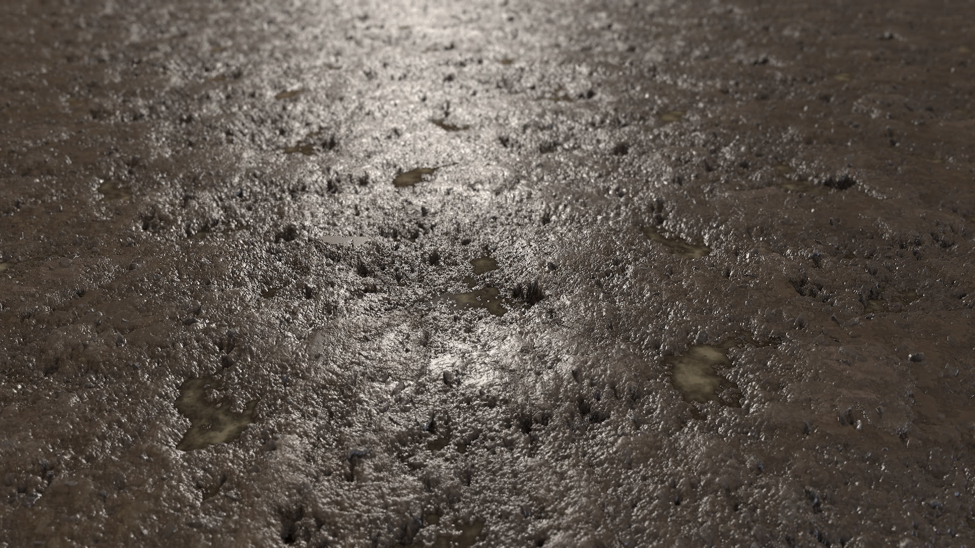 Mud Ground Texture | CGTrader