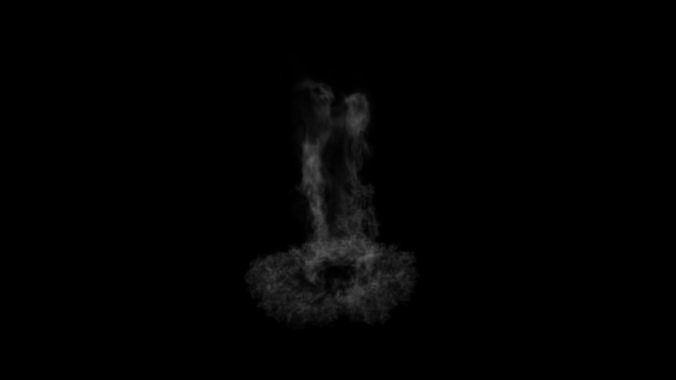 Smoke Shock wave FX 3D model animated | CGTrader