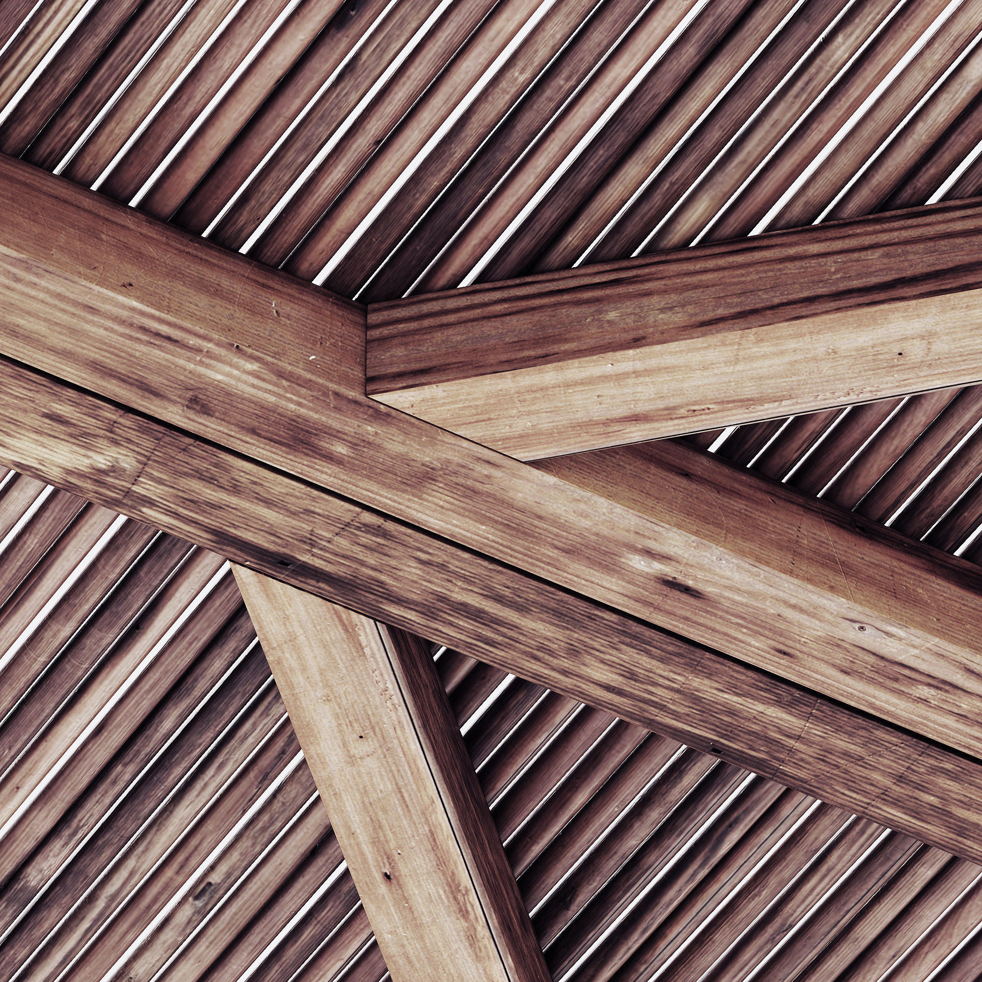 Ceiling diagonal branch straight n1 3D model | CGTrader