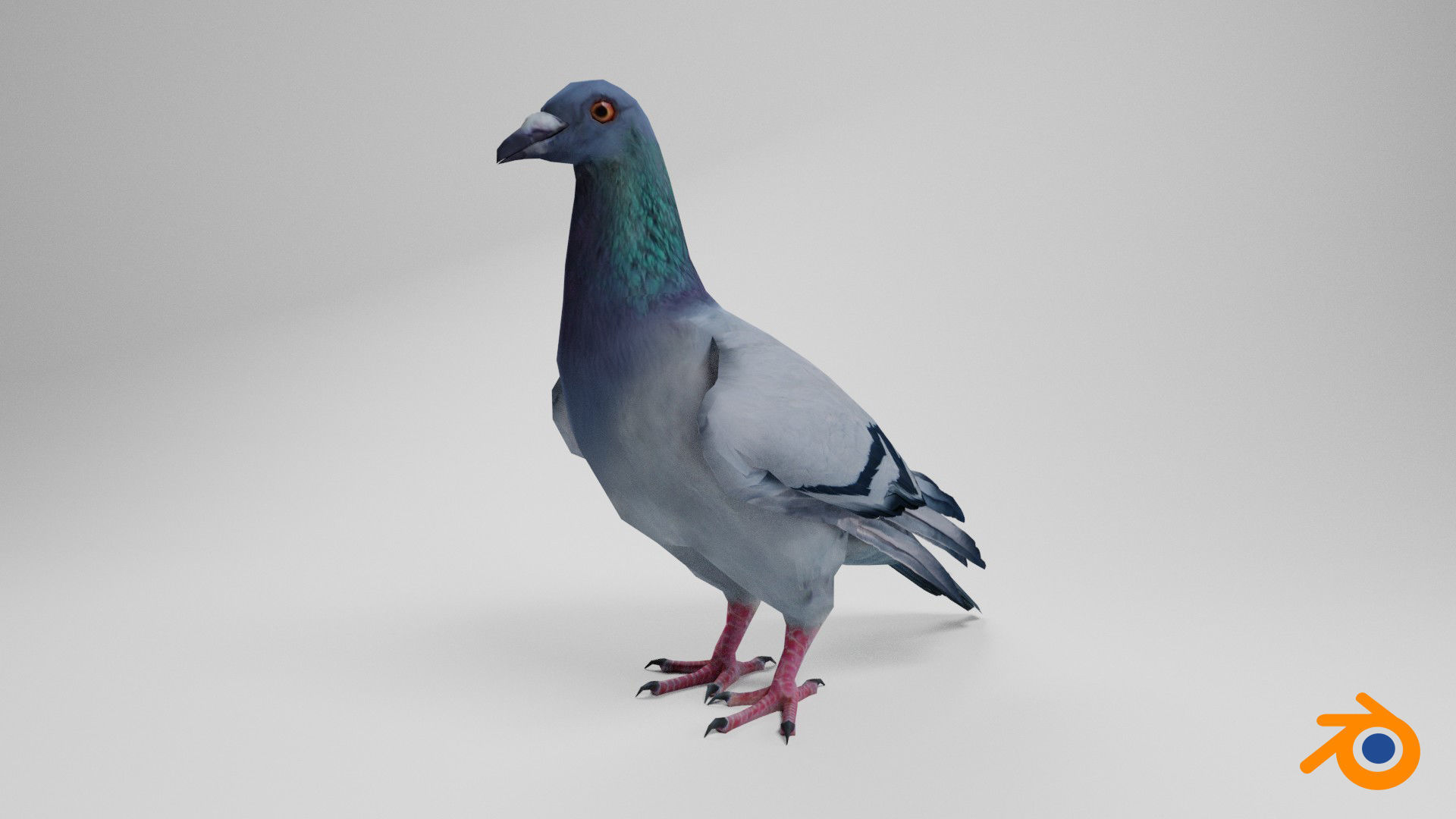 3D model Pigeon VR / AR / low-poly rigged animated | CGTrader