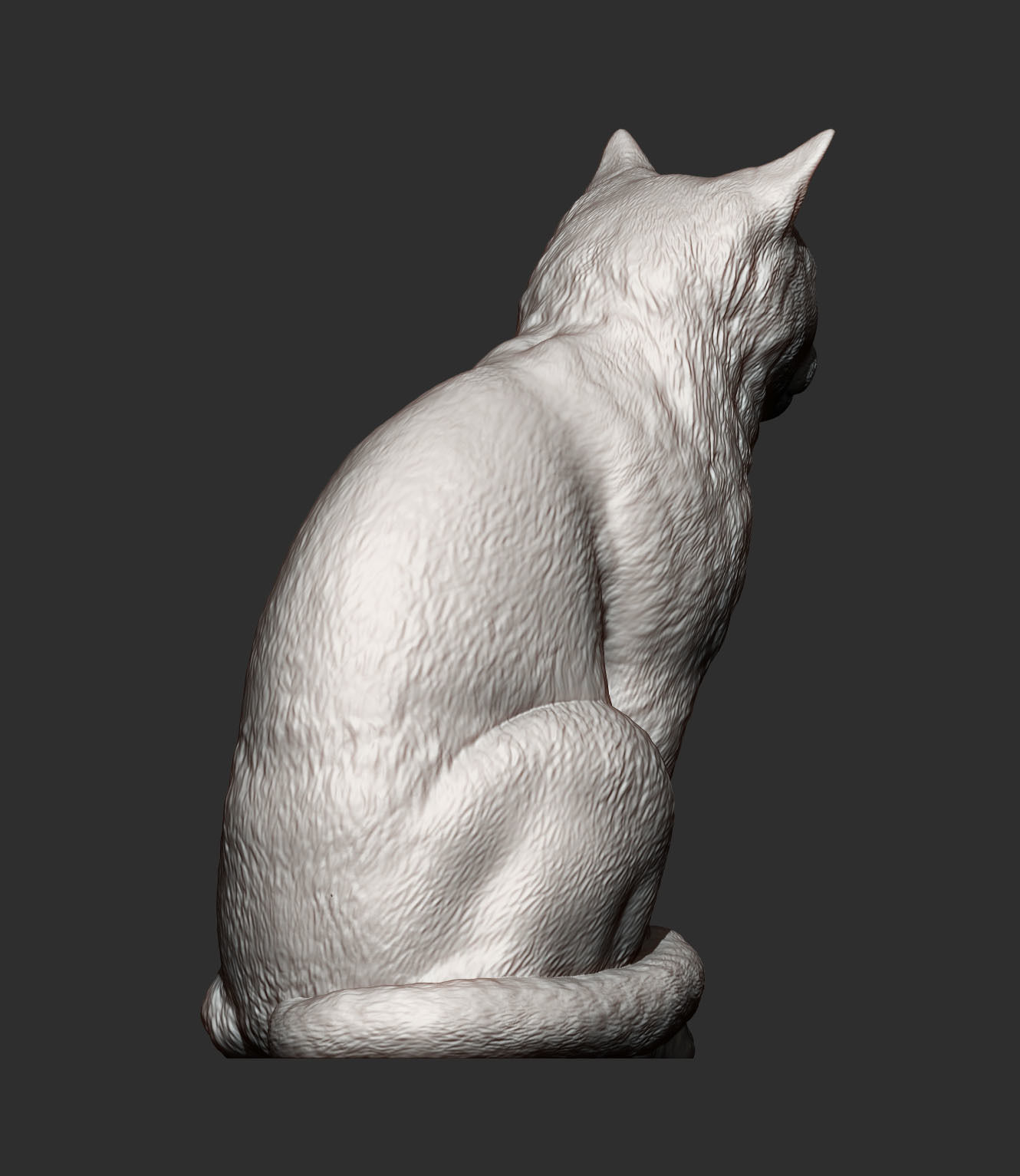 Cat for 3d printing 3D model 3D printable | CGTrader