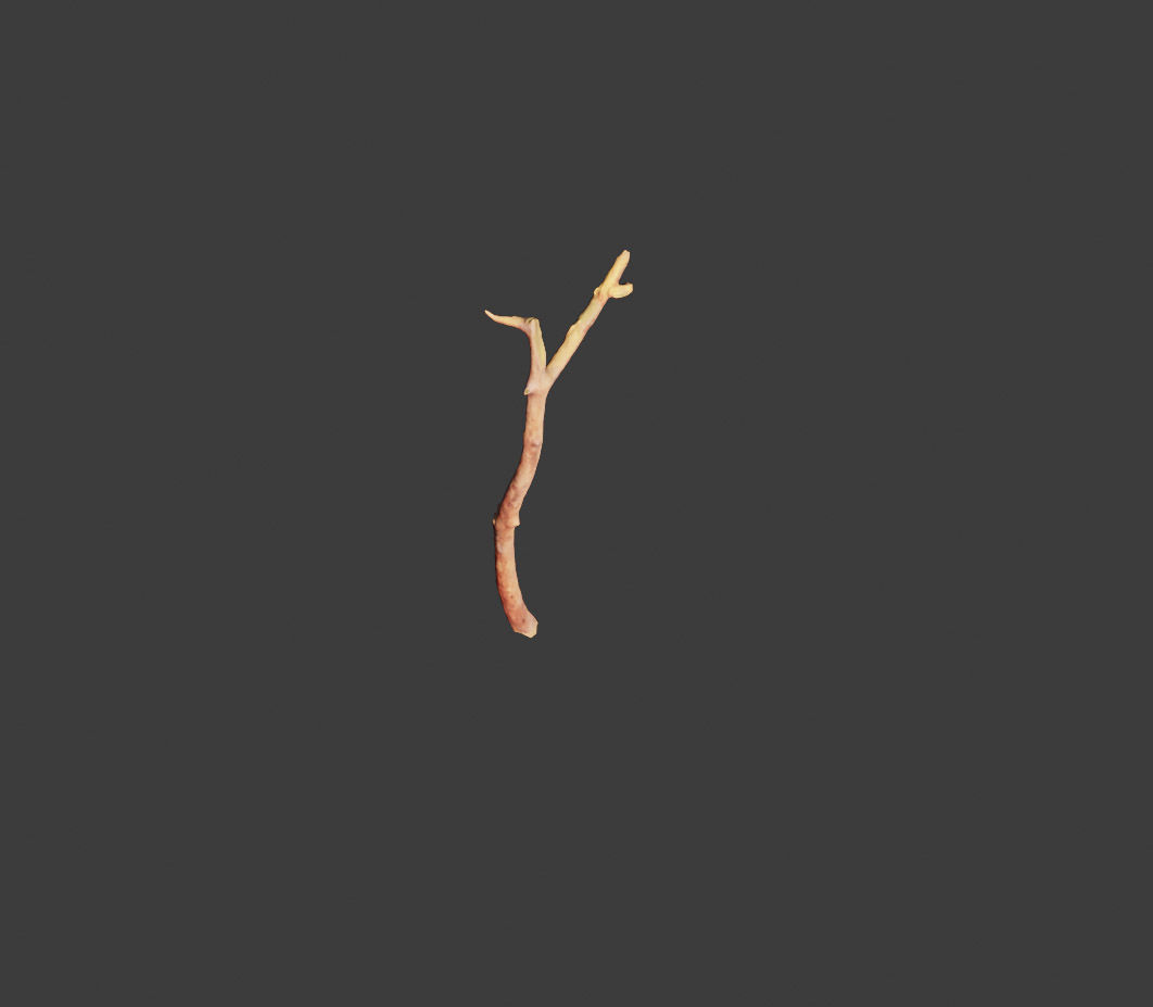Free PBR Stick twig dead broken Scan free VR / AR / low-poly 3D model ...