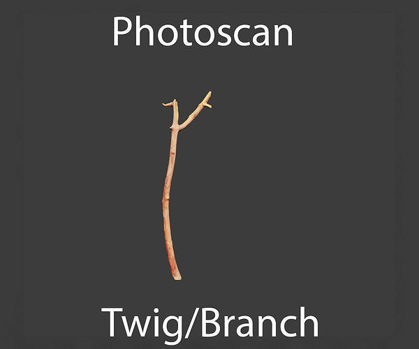 Free PBR Stick twig dead broken Scan free VR / AR / low-poly 3D model ...