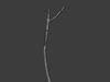 Free PBR Stick twig dead broken Scan free VR / AR / low-poly 3D model ...