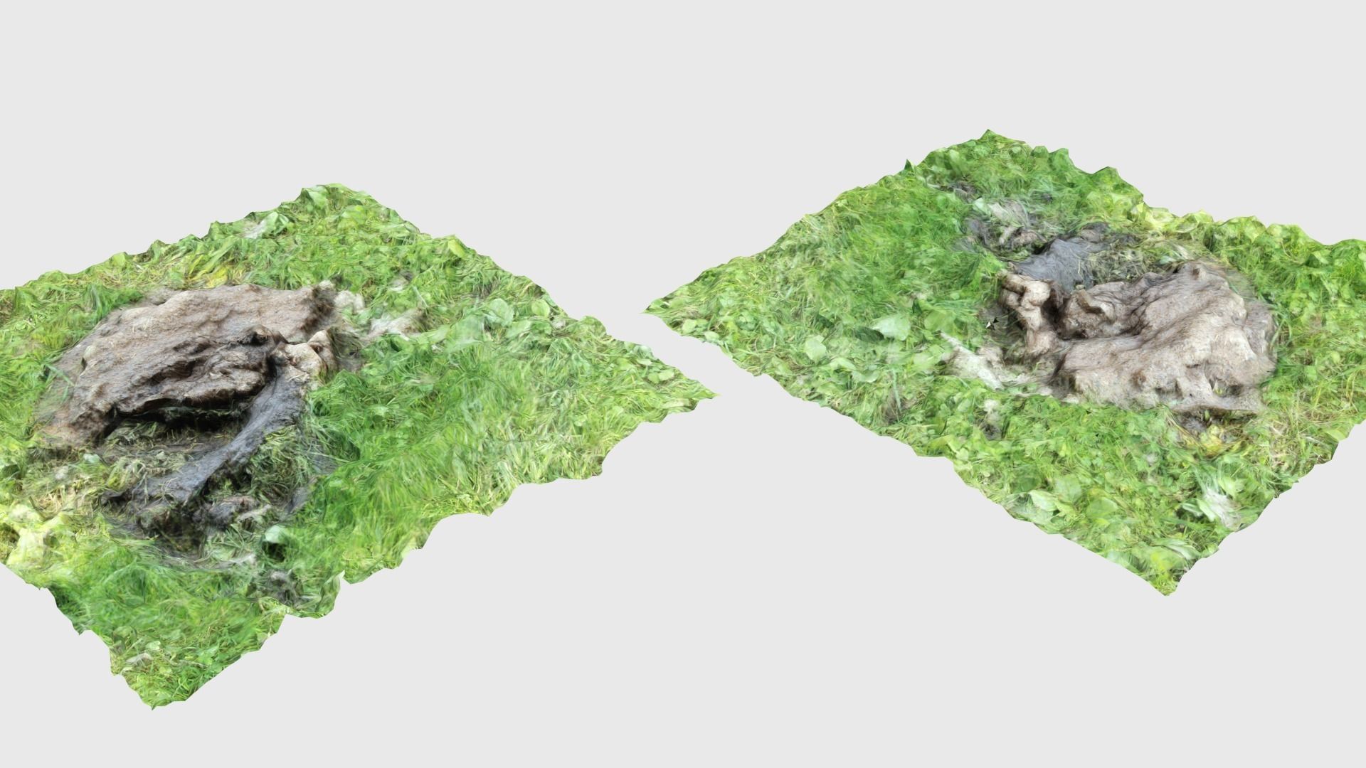 3D model Cow manure set VR / AR / low-poly | CGTrader