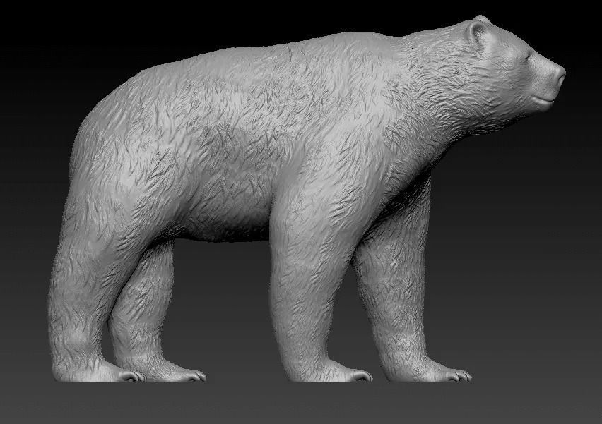 Short-Faced Bear Arctodus pristinus giant extinct bear 3D Print 3D ...