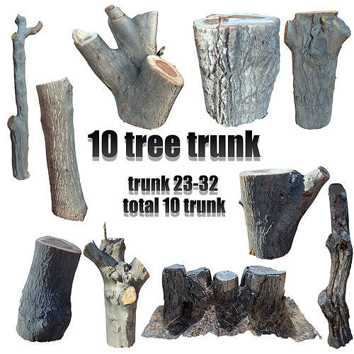 tree trunk 10 total tree trunk vol 2 3D model | CGTrader
