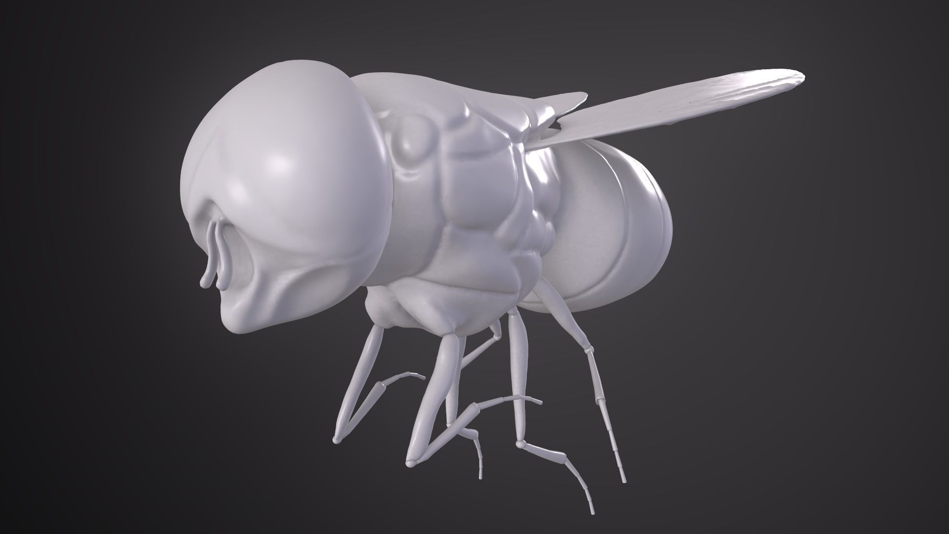 Califoride insect 3D model | CGTrader