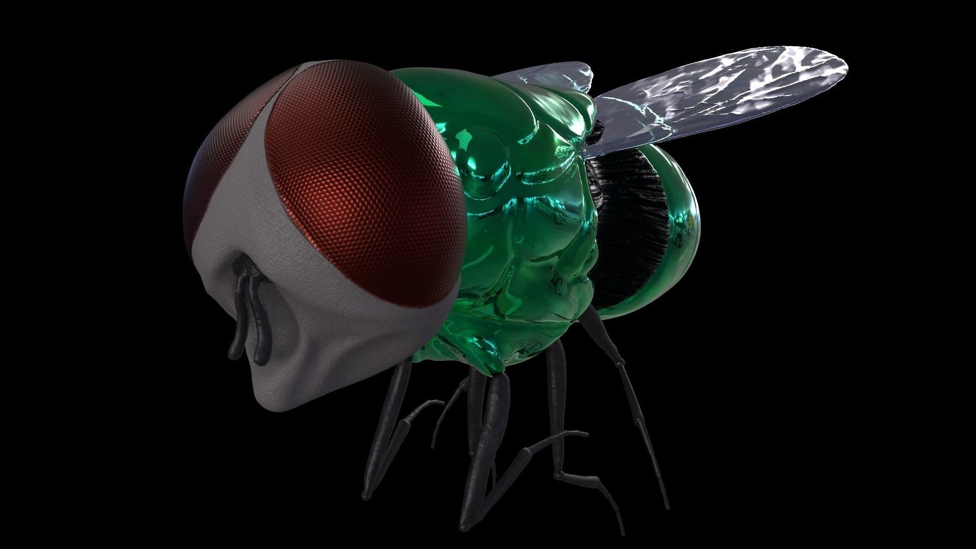 Califoride insect 3D model | CGTrader