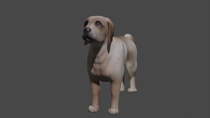 3D model Labrador Dog Breed 3D Model for Games and VR VR / AR / low ...