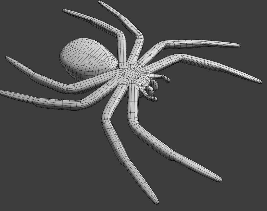 A small Spider 3D model 3D printable | CGTrader