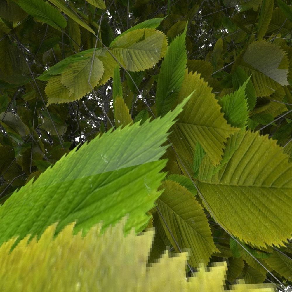 bush natural 3D model | CGTrader