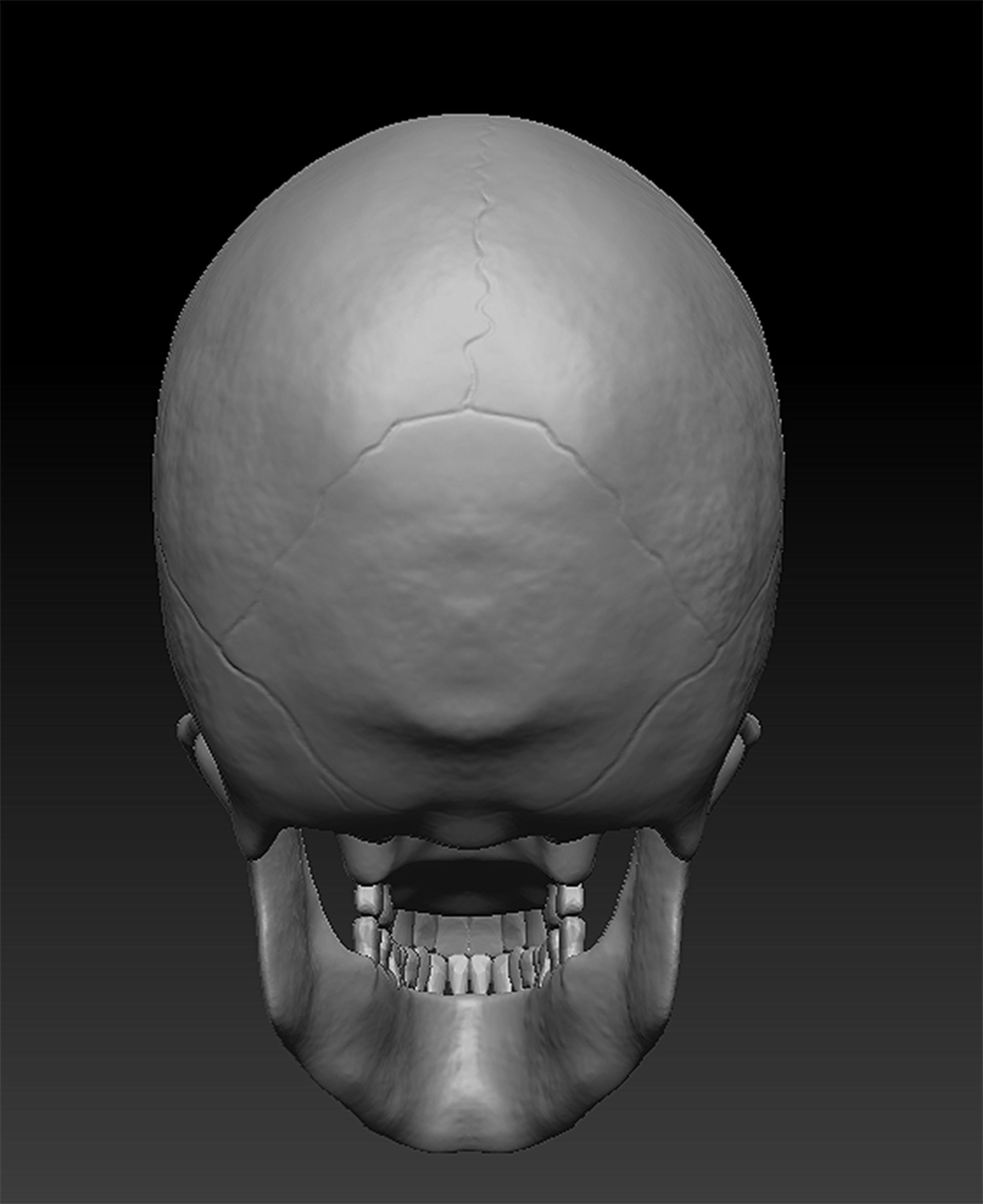 Skull Human model 3D model | CGTrader